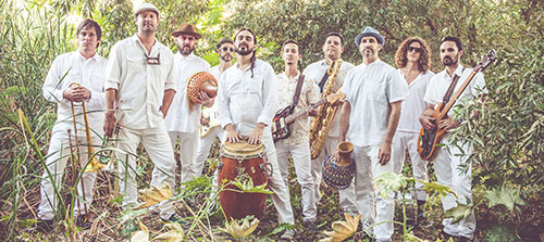 Jungle Fire | LALIFF